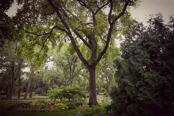University Park - Grand Forks Park District